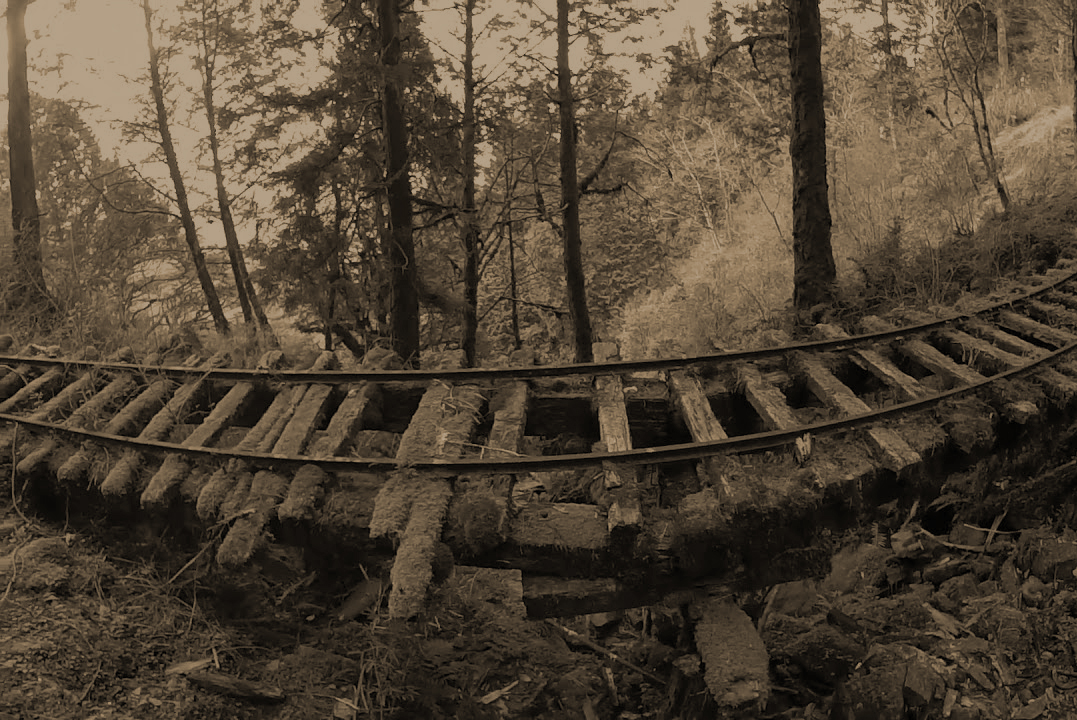 Bogenwald - Veranstaltungen