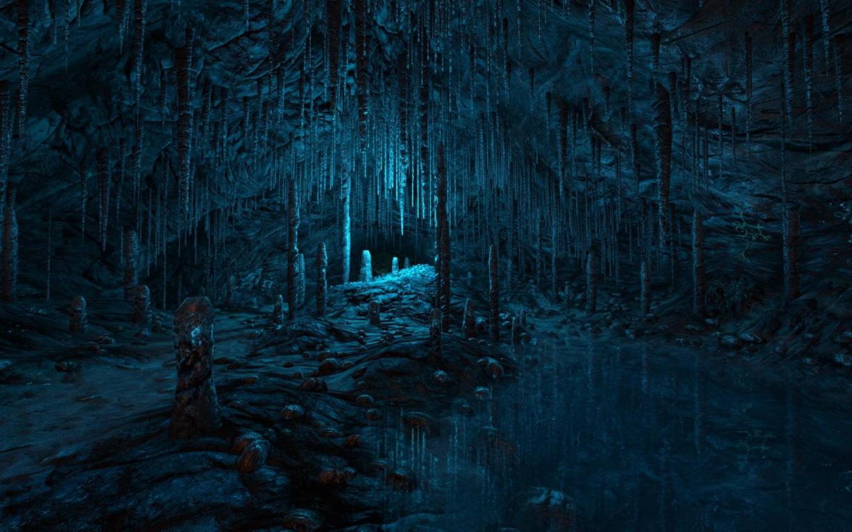 Bogenwald - Bogenwald